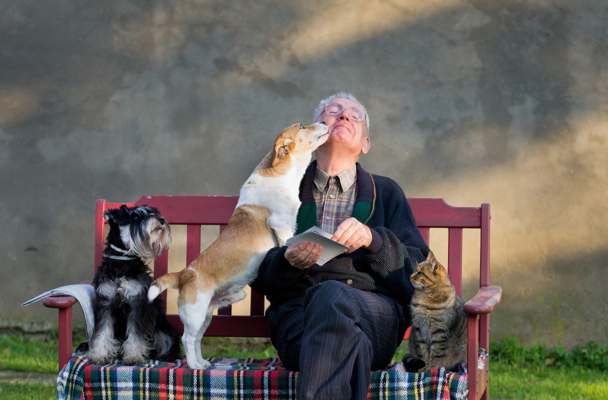 Ageing in Place with Companion Animals - innovAGEING